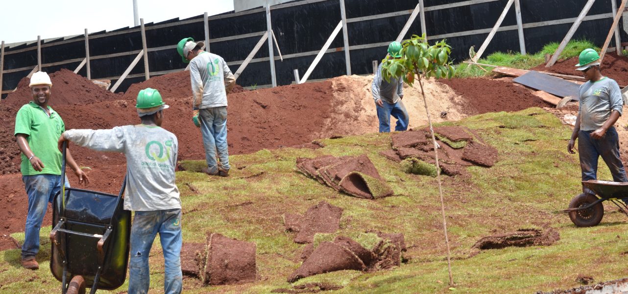 Implantação de Grama e Jardim: A Base de um Espaço Verde - Quintal Jardins